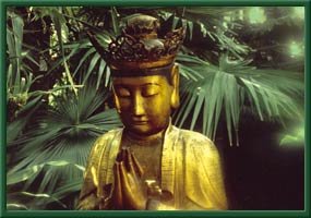 Ímpetu para el Año Nuevo de Buda Gautama - Maestros Ascendidos